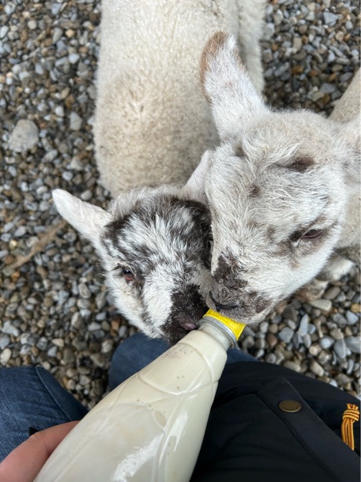 7 Days in Ireland: A Complete Itinerary - Our French Travels
